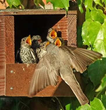 Co z rodziną | Insektarium